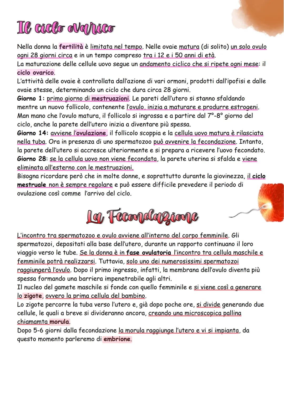 Apparato Riproduttore: Schema e Tipi di Riproduzione Sessuale e ...