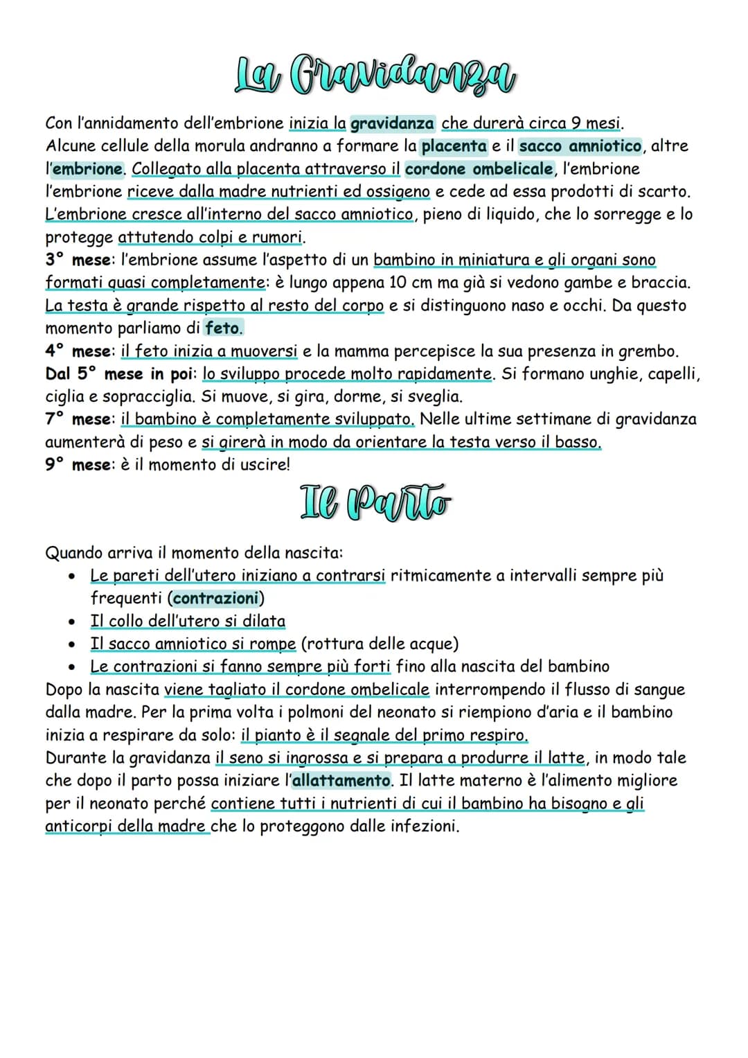 Apparato Riproduttore: Schema e Tipi di Riproduzione Sessuale e ...