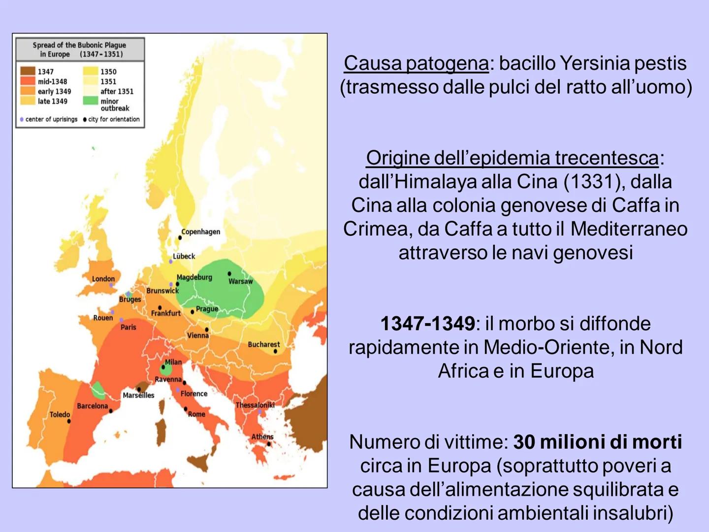 Crisi del '300: Cause, Conseguenze e Peste Nera - Mappa Concettuale ...
