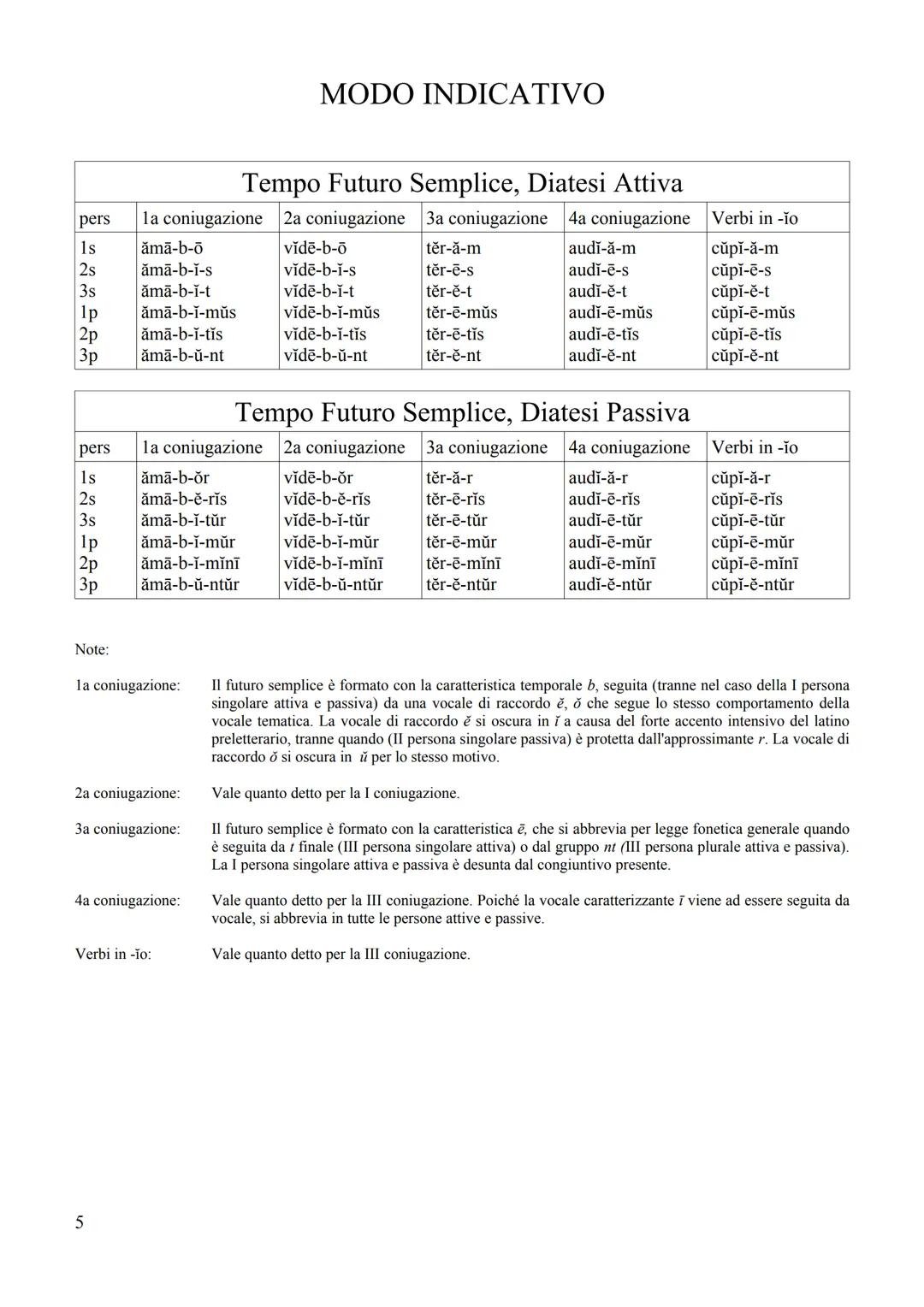 Tempi Verbali e Coniugazioni dei Verbi Latini: Tabella e PDF Utili ...